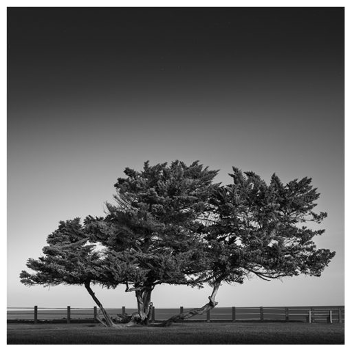 Places-Black & White - Johnny Kerr